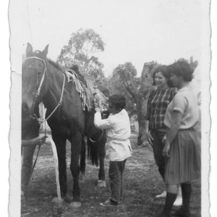 Galeria de Imagenes Elena Quinteros - Afcasmu